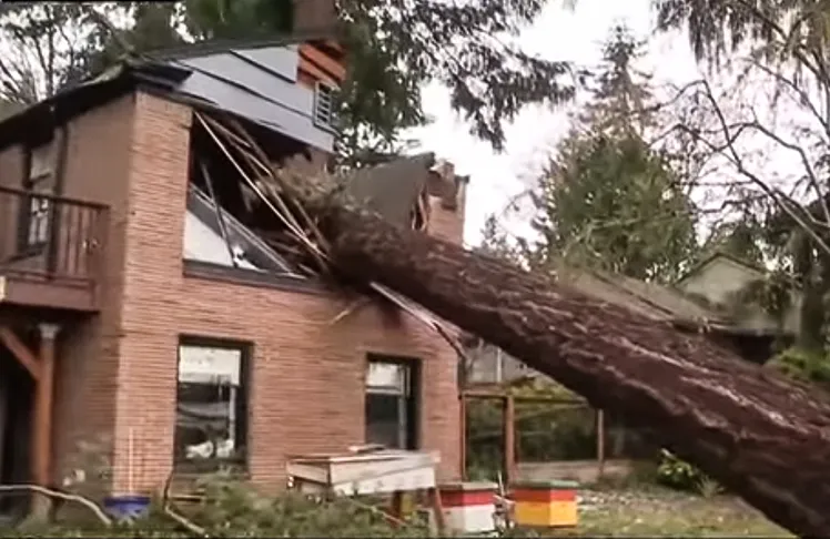 Severe Winter Storm Causes Fatalities And Disruptions Across The ...